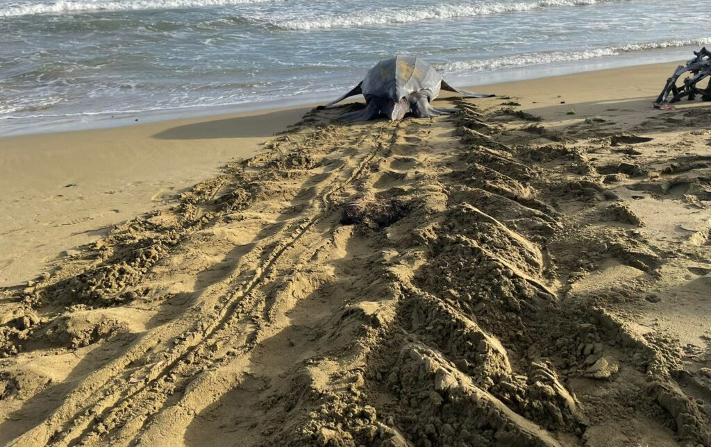 Todo listo para el 17mo Festival del Tinglar en Luquillo