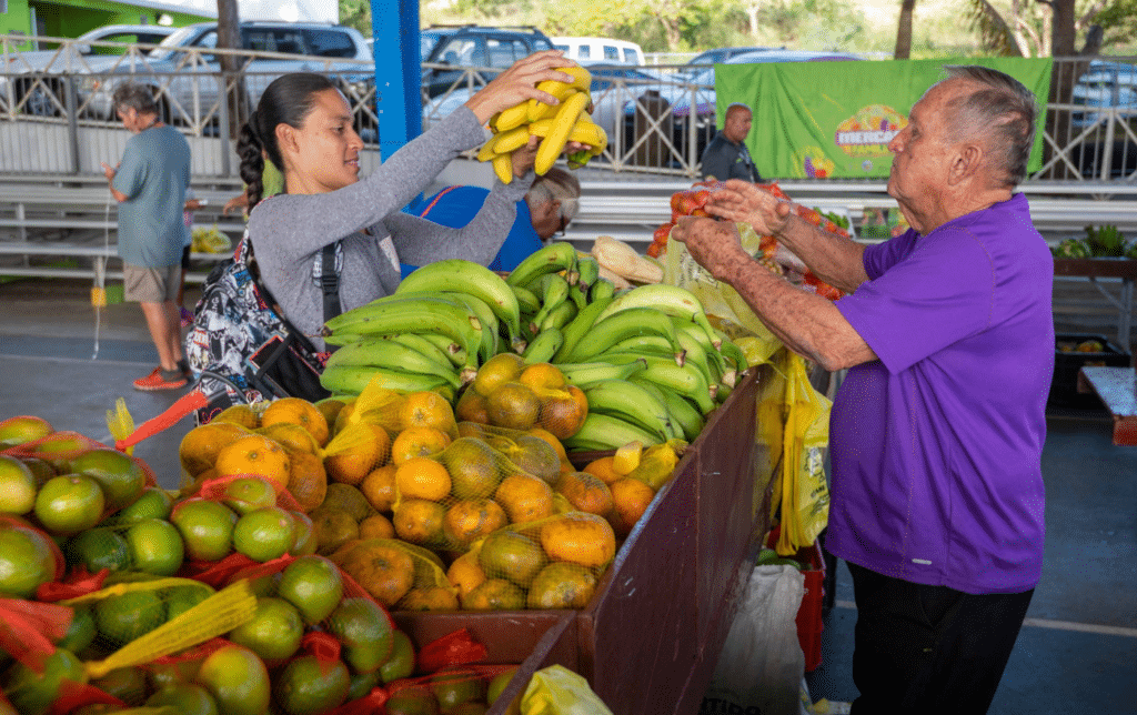 Asigna $5 millones para fomentar el consumo local